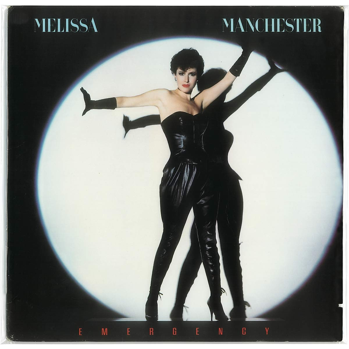 (1000) 12 Vinyl Record Outer Sleeves Extra Thick Resealable - Super Clear, Archival Quality - Premium 2.5 mil Thick - #12SB025RS