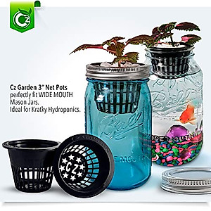Cz Garden Supply 3 inch Net Cups Heavy Duty Pots Wide Rim Design - Orchids • Aquaponics • Aquaculture • Hydroponics Slotted Mesh for Kratky Wide Mouth Mason Jars