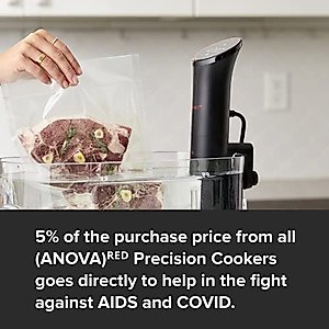 Anova Culinary (ANOVA)ᴿᴱᴰ Precision Cooker Nano, Black, Small