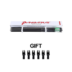 PANDARUS Archery 30inch 8mm Fiberglass Hunting Practice Arrows with Replaceable Arrowhead Spine 500 for Recure and Compound Bow Target