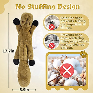Alphatool Squeaky Dog Toy - Tough No Stuffing Squirrel Toys to Keep Dog Busy, Small Medium Large Dogs, Durable Interactive Plush Puppy Toys for Birthday Gift