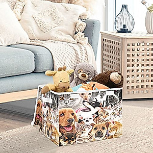 Kigai 3d Print Dogs & Cats Storage Baskets for Shelves Foldable Closet Basket Storage Bins with Lid for Clothes Home Office Toys Organizers
