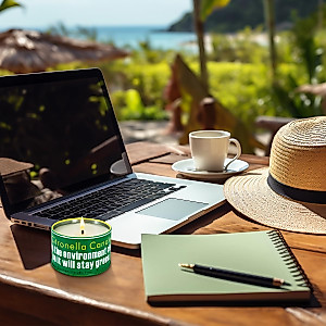 Citronella Candles, Indoor Outdoor Lemongrass Scented Candles, 4 OZ 2 Pack Pure Citronella Oil and Natural Soy Wax Long Lasting Burning Hand Poured Emergency Candles