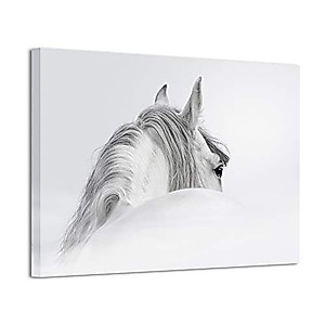 ARTISTIC PATH White Horse Canvas Wall Art: Animal Picture White Mystical Horse Printed Artwork for Home Decor (16”W x 12”H,Multi-Sized)