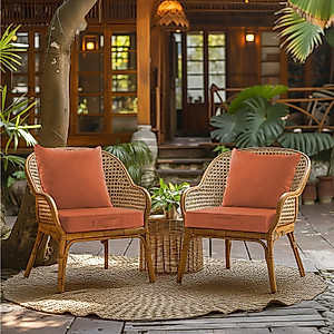 Codi Outdoor Cushions for Patio Furniture 24x24, Waterproof Replacement Deep Seat Cushion for Outside Chair, Couch, Sofa | Washable Removable Cover with Handle & Adjustable Straps, Spice