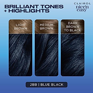 Clairol Nice'n Easy Permanent Hair Dye, 2BB Blue Black Hair Color, Pack of 1