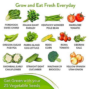 Heirloom Vegetable Seeds | 25 Non-GMO Varieties | 12k+ Gardening Seed for Planting Vegetables and Fruits | Prepper Supplies - Homesteading & Survival Gear | Garden Seed for Spring, Summer, Fall