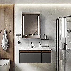 Seenvlog Bathroom Medicine Cabinet with Lights, LED Mirror Medicine Cabinet, Defogger, Dimmer, Memory Function, 20" x 28" Lighted Medicine Cabinet, Surface Mount