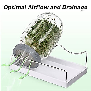 Complete Sprouting Jar Kit| 2 Wide Mouth Mason Jars, 316 Screen Sprout Lids, Blackout Sleeves, Tray, Stand| Sprouter Set for Growing Broccoli, Alfalfa and More-Seeds not Included