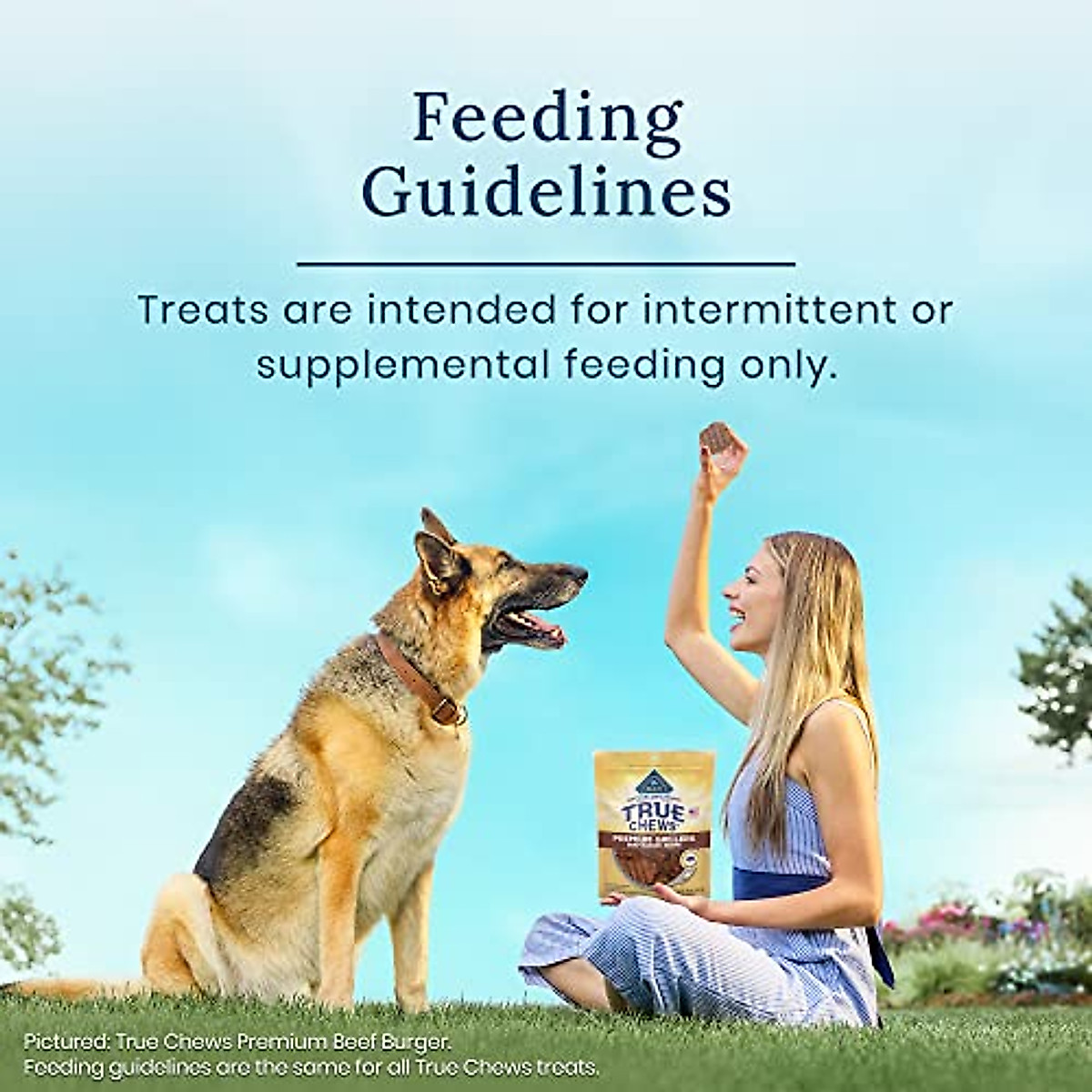 Blue Buffalo True Chews Premium Jerky Cuts Natural Dog Treats, Chicken 32 oz bag