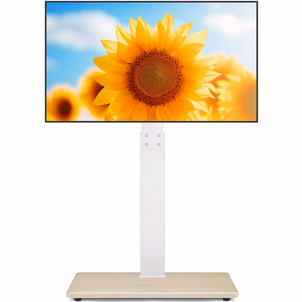 TV Floor Stand for 32-75 Inch Plasma LCD LED OLED Flat Panel or Curved Screen TVs, Swivel TV Stand Mount with Height Adjustment and Sturdy Wood Base, White