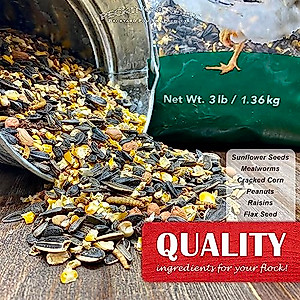 Pecking Order 9328 009328 Mealworm & Sunflower Treat, 3 lb