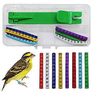 FOIBURELY 80 pcs Numbered Bird Ring Leg Bands for Gouldian Zebra Finch Canary Society Bird Foot Ring with 1 Installer(Diameter 3mm)