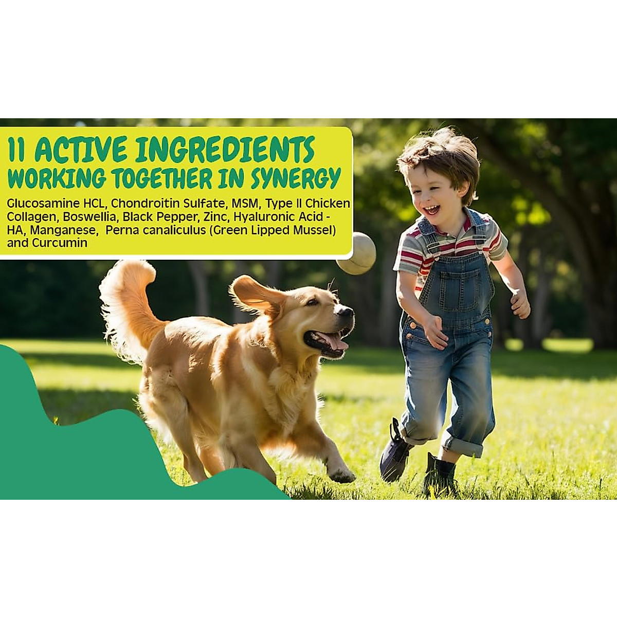 BARKING HUGS Hip and Joint Supplement for Dogs - 500 mg Glucosamine for Dogs per Soft chew - Nature-Based for Maximum Dog Joint Pain Relief - 11 Active Ingredients Support Dog Hip & Joint Care.