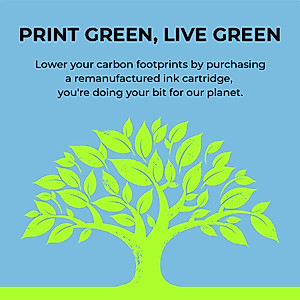 Penguin Remanufactured Ink Cartridge Replacement for Epson 98 T098 Used for Artisan 730 810 725 All-in-One Printer 6 Pack (1 Black 1 Cyan 1 Magenta 1 Yellow 1Light Cyan 1 Light Magenta) Combo Pack