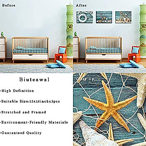 Biuteawal- 3 Piece Canvas Wall Art Starfish Shell on Teal Board Painting Prints Beach Nature Picture Canvas Artwork for Home Kitchen Bathroom Living Room Wall Decor Ready to Hang