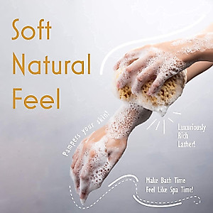 myHomeBody Premium Bath Sponge, Foam Loofah Sponge, Body Sponge for Shower - Large Size, Lots of Lather, Curvy, 3 Pack