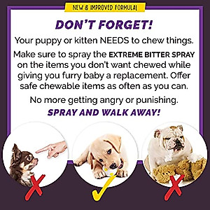 BLUECARE LABS Bitter Apple Spray for Dogs to Stop Chewing - Corrector Spray for Dogs to Prevent Licking and Chewing on Furniture, Paws and Wounds - No Alcohol and Non Toxic - Made in The USA 8oz