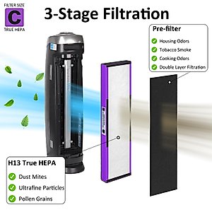 2 Pack FLT5250PT Filter C Pet, Ture HEPA Replacement Filter, Compatible with G-Guardian Air Purifier AC5000, AC5000E, AC5250PT, AC5350B, AC5350BCA, AC5350W, AC5300B, 2 HEPA Filter and 6 Pre-Filters.