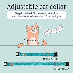 Hepper Hemp Safety Breakaway Cat Collar with Bells - Adjustable Large to Small Kitten Collar with Bell - Cat Collars for Girl Cats/Cat Collars for Boy Cats - Minimalist Cute Cat Collar with Cat Bells