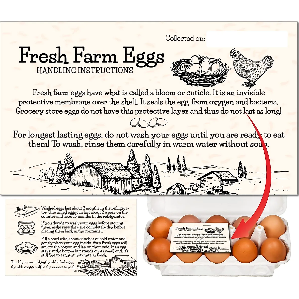 Havongki 100pcs Premium Fresh Farm Eggs Handling Instructions Care Accessories Cards Labels | Egg Blank Cartons 4 6 12 15 18 30 48 50 Count Basket Box Container Storing Extra Organizer (M03-1CH)