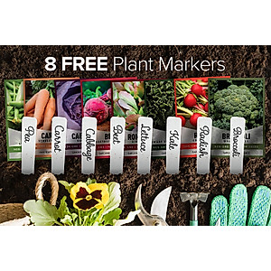 Gardeners Basics, Winter Fall Vegetable Seeds for Planting 8 Varieties Sugar Snap Pea, Carrot, Beet, Radish, Lettuce, Broccoli, Kale, Cabbage Seed Fall Vegetable Seeds Packs