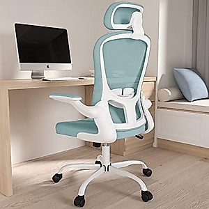 Office Chair, High Back Ergonomic Desk Chair, Breathable Mesh Desk Chair with Adjustable Lumbar Support and Headrest, Swivel Task Chair with flip-up Armrests, Executive Chair for Home Office