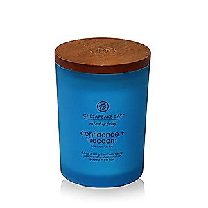 Yankee Candle Chesapeake Bay Candle, Medium Jar Candles | Confidence + Freedom (Oak Moss Amber), 2 Count, White