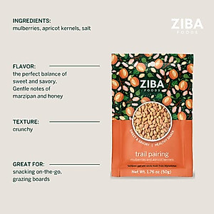 Ziba Foods Trail Pairing - Sweet Apricot Kernels & Dried Mulberries Mix - Non-GMO, Vegan, Whole 30 Friendly & Paleo - High in Fiber, Iron & Immune Boosting Antioxidants - Sweet & Savory, Pack of 6