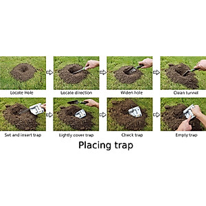 LASSO TRAP Mole (Small) Trap (Pack of 2) Galvanized & Oil Hardened Steel//Super Cost-Effective, Reusable, & Durable Animal Trap Best in The Lawn, Yard, Garden, Farm, & All Outdoor Settings