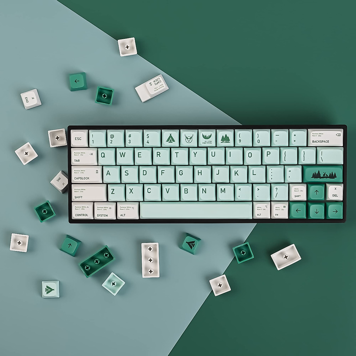XDA PBT Key Cap, 139keys Dye Sublimation Forest Green Custome Key Cap Set for Cherry/Gatron MX switches 60 Percent/68/61 Gaming Mechanical Keyboard (Forest Green)