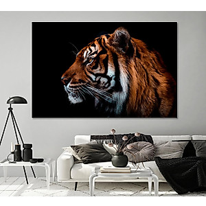 Sumatran Tiger Canvas Print 1 Panel / 36x24 inches