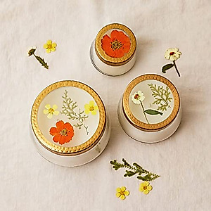 Pressed Floral Candle - Aromatherapy Candles, Long Lasting Candles, Luxury Candles, Luxury Candles Gifts (Sunlit Neroli, 21 oz)