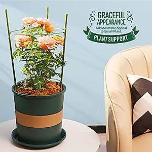 LEOBRO 2 Pack Plant Support Tomato Cage, Rust Resistant Tomato Cages for Garden, Small Cucumber Trellis Plant Support Plant Cages Plant Stake for Tomato, Climbing Plant, Flower, Seedlings, 17.7" H