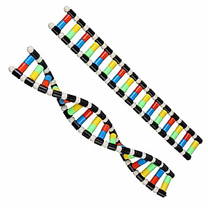 DNA Model Double Helix Structure Model DNA Assembly Biological Science Teaching Aids for DNA Double Helix Modesl kit