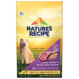 Nature’s Recipe Original Dry Dog Food for Adult Dogs, Lamb & Rice Recipe, 24 lb Bag