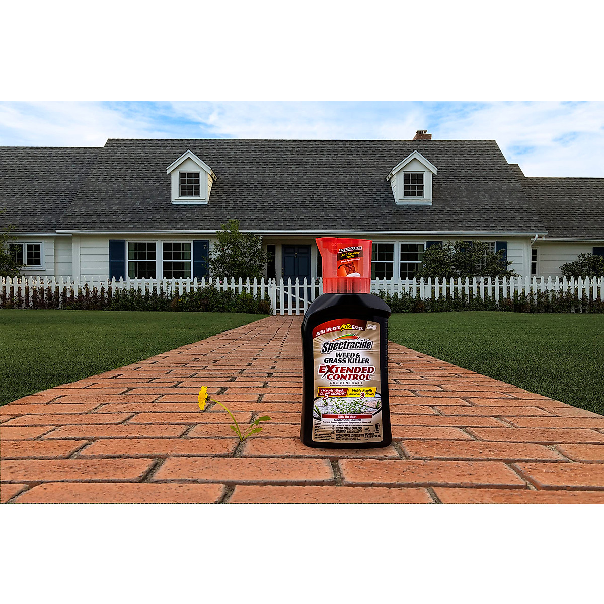 Spectracide Weed and Grass Killer with Extended Control Concentrate, 32 Ounces, with Accumeasure System