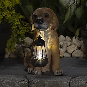 VP Home Golden Puppy with Lantern Solar Powered LED Outdoor Decor Garden Light