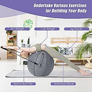 Goplus Yoga Ball Chair, 25.5 Inch Exercise Ball with Cover & Resistance Bands & Handles & Pump for Pilates Stability Balance Training, Ergonomic Posture Ball Sitting Chairs for Office Home(Grey)