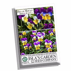 Helen Mount Johnny Jump Up Viola Flower Seeds, 500+ Seeds Per Packet, (Isla's Garden Seeds), Non GMO & Heirloom Seeds, Botanical Name: Viola cornuta, Viola Tricolor, Great Home Garden Gift