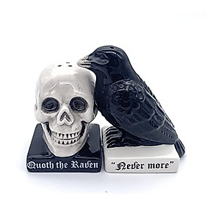 Rustix Quoth The Raven Ceramic Gothic Halloween Decor Cute skull Horror Salt and Pepper Shaker Set Scary Spooky and witchy Gift Fall Season Decor for Kitchen