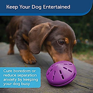 PetSafe Busy Buddy Twist 'n Treat Dispensing Dog Toy - Medium,Purple,Large Breeds