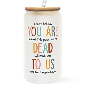 Coworker Leaving Gifts for Women - Farewell Gifts for Coworkers, Going Away Gift for Coworker Woman, Goodbye Gifts for Coworkers - Good Luck Gifts for Coworkers Women, Friends, Boss - 16 Oz Can Glass