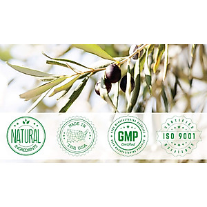 Olive Babies Hair Detangling Leave-in Conditioner Spray, 8 Ounce