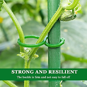 Generic 100 PCS Plant Support Clips for Climbing Plants Outdoor, Tomato Plant Support Vine Clips Plant Flower Lever Loop Gripper Fixing Clips, Secured Plastic Plant Clips Reusable Garden Clips