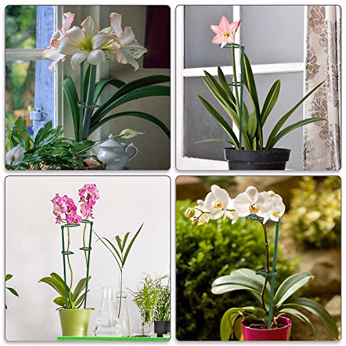 Plant Stakes,Plant Support Stakes with Rings for Indoor and Outdoor Plants.MIALEXO 19Pcs Plant Support Sticks Suitable for Potted Plant Flowers Tomatoes Peony Lily Rose (17.6-18inches)