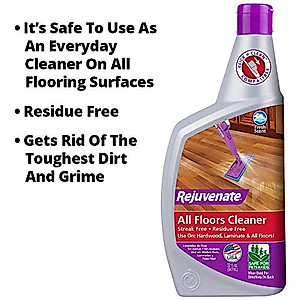 Rejuvenate Click N Clean MultiSurface Spray Mop System