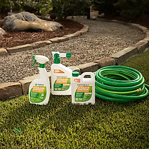 Earth's Ally Disease Control Concentrate for Plants | Fungicide Treatment for Powdery Mildew, Blight, Black Spot, Fungus - Use on Plant & Rose Diseases & More, 32oz Concentrate