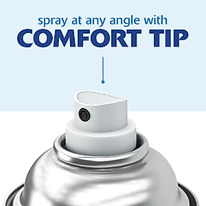 Rust-Oleum 334089 Painter's Touch 2X Ultra Cover Spray Paint, 12 oz, Satin Rustic Orange