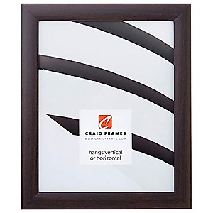 Craig Frames 232477781620N 1-Inch Wide Picture/Poster Frame in Smooth Wood Grain Finish, 16 by 20-Inch, Brazilian Walnut